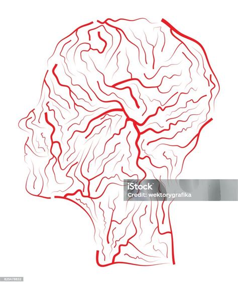 인간의 머리 벡터 기호 아이콘 디자인 맥락 아름 다운 그림을 흰색 배경에 고립 사람 얼굴에 대한 스톡 벡터 아트 및 기타 이미지