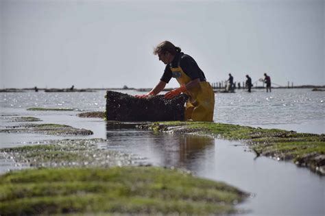 Causerie sur les femmes de la mer Ville de Séné