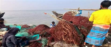 Bangladesh Fishermen Set To Resume Hilsa Fishing As Ban Ends At Midnight