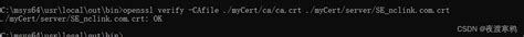 编译使用win64版 Tassl111ktassl库使用 Csdn博客