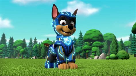 Pin By Amanda Quinn On Grace Chase Paw Patrol Paw Patrol Paw Patrol Pups