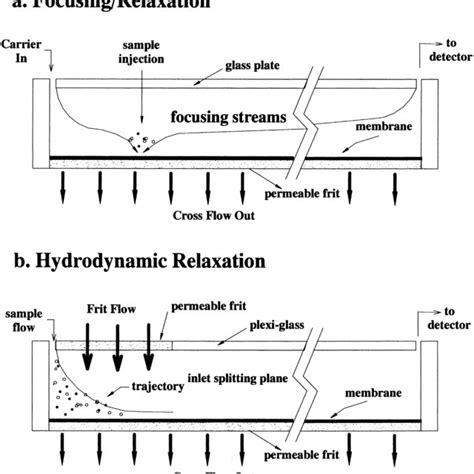 Pdf Hydrodynamic Vs Focusing Relaxation In Asymmetrical Flow Field Flow Fractionation