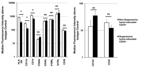 Expanded Phenotype Of Canonical Cd33 Human Mdsc Subset Induced By