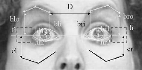 Figure 5 From Recognizing Action Units For Facial Expression Analysis Semantic Scholar