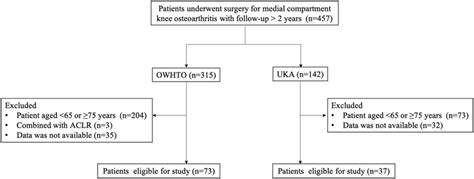 Flowchart Of Patients Inclusion In The Study Download Scientific Diagram