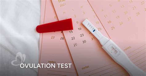 Ovulation Test Kits How They Work Thomson Medical