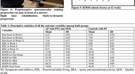 Table 1 From The Efficacy Of Early Proprioceptive Neuromuscular