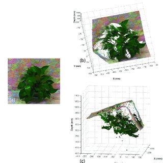 The Stereo Rectified Left Image And Reconstructed 3D Point Cloud Of The