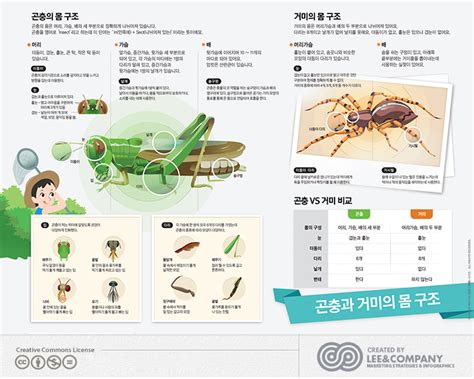 [미래엔] 인포그래픽 브리태니커 곤충과 거미의 몸 구조 네이버 블로그