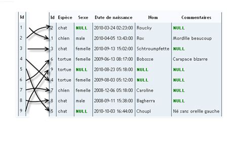 Index Administrez Vos Bases De Données Avec Mysql • Tutoriels • Zeste
