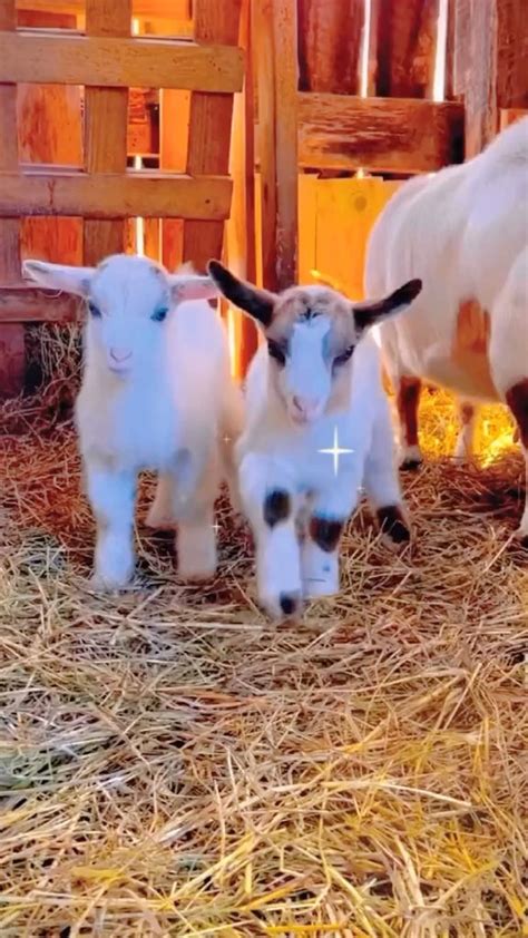 👩‍💻 Coder S 💻 Programmerzzp • Instagram Photos And Videos