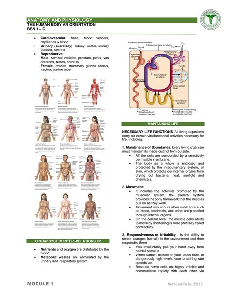 SOLUTION Anatomy And Physiology Module 1 Studypool