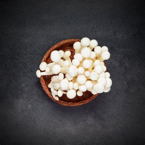 湿云杉林中的食用蘑菇新生孢子菌 被称为斯卡莱蒂娜·博莱特 库存图片 图片 包括有 词根 宏指令 194313715