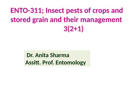 Ppt Of Pest Of Rice Crops And Their Management Pptx