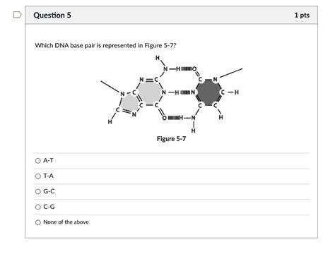 Question Which DNA Base Pair Is Represented In Figure O A T O T A O G C O C G None Of