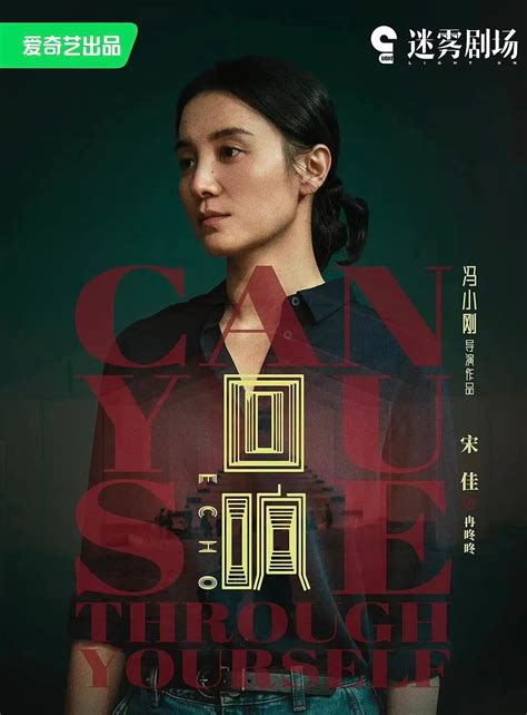 《回响》是冯小刚执导，宋佳、王阳领衔主演