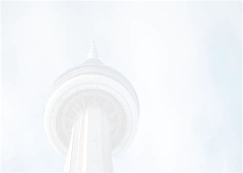 Panniculectomy Toronto Canadian Plastic Surgery Centre