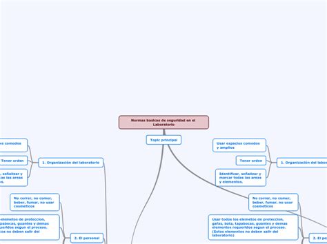 Normas Basicas De Seguridad En El Laborato Mind Map