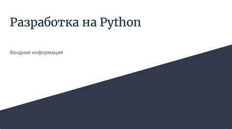 Разработка на Python Вводная информация презентация онлайн