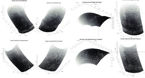 First Row Examples Of The Four Fingers Acquired For The Database From