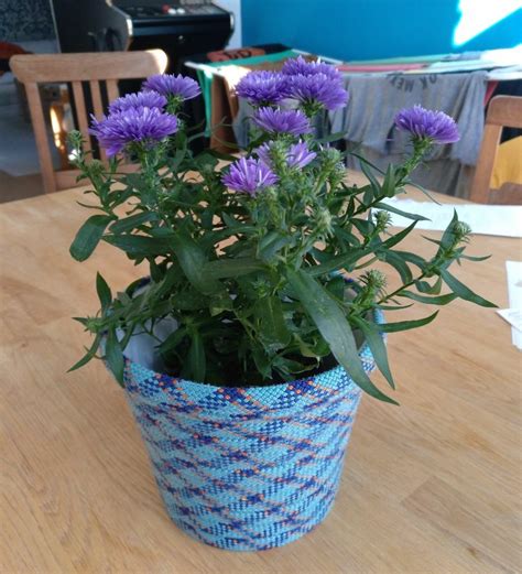 Upcycling Workshop Dav Erlangen