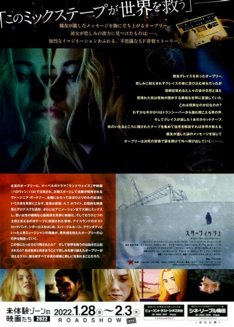 スターフィッシュ 映画チラシのデビッドさん