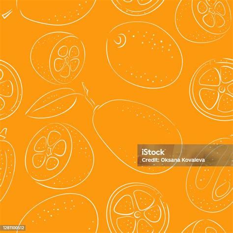 슬라이스와 전체 금쿼트 과일과 원활한 패턴 손 도면 및 스케치 스타일의 벡터 선 그림입니다 직물 종이 주방 메뉴 레스토랑 카페 및 상점용 감귤류 과일에 대한 스톡 벡터 아트