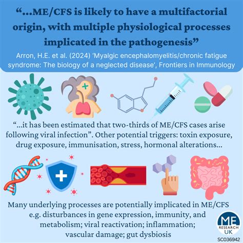 An Overview Of Mecfs