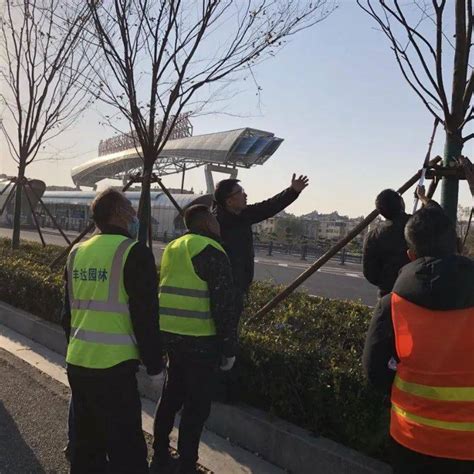 【重点工作】市林业站加强秋冬季绿化技术指导建设单位长势