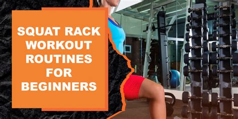 Squat Rack Workout Routines For Beginners Magma Fitness