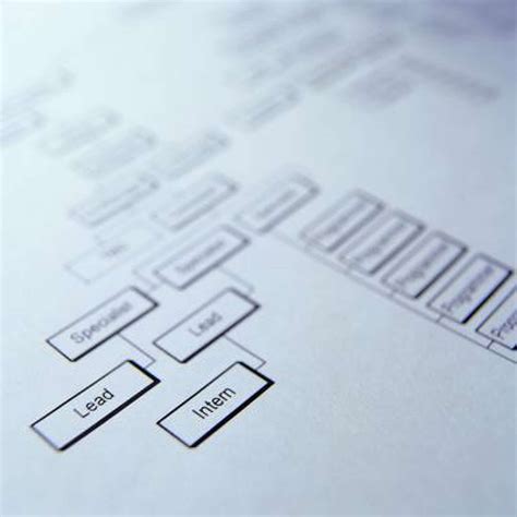 Horizontal Differentiation In Organizational Theory