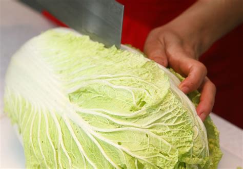 白菜產季到一次學會三種白菜醃法不怕吃膩 食譜自由配 自由電子報