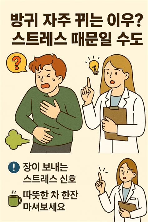 방귀 자주 뀌는 이유 스트레스 때문일 수 있어요 네이버 블로그