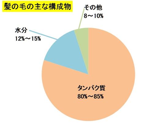 【美髪への第一歩】ドライヤーの正しい使い方・傷みにくい乾かし方 【公式】クレイツcreates