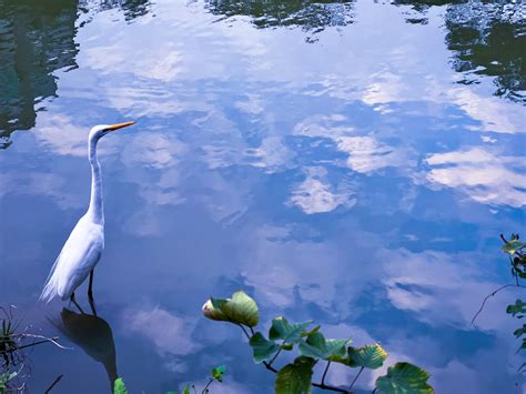 作業成果 寧靜 凝望 Hahow 好學校