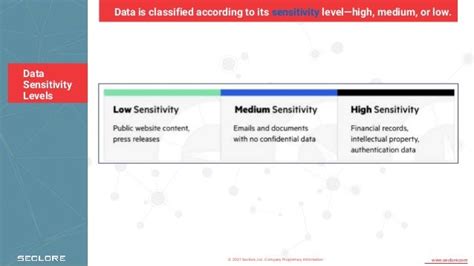 Classifying Data Why Its Important And How To Do It Ppt