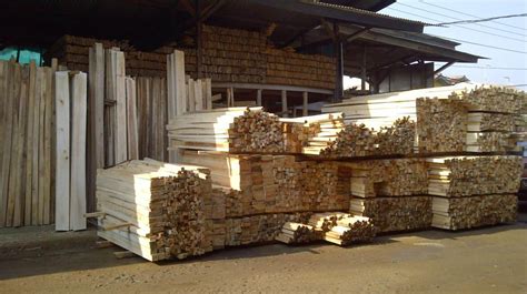 Harga Kayu Albasia Jeng Jeng Info Harga Bahan Bangunan