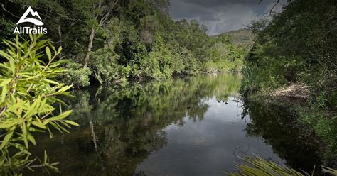 Best Trails Near Alligator Creek Falls Alltrails