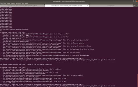Sitk Error The File 0000niigz Does Not Exist · Issue