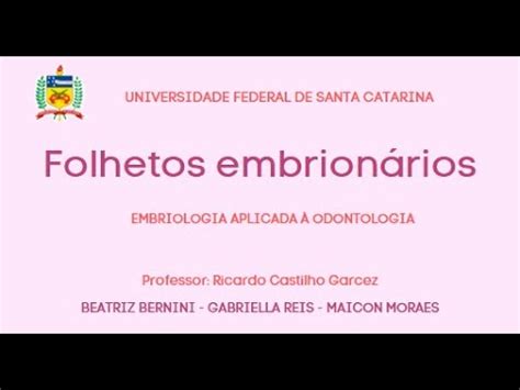 Trabalho De Embriologia Folhetos Embrion Rios Curso De Odontologia
