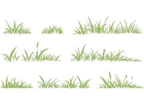 Premium Vector Grass Illustration