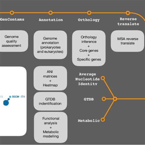 Overview Of The Gen Era Toolbox Download Scientific Diagram