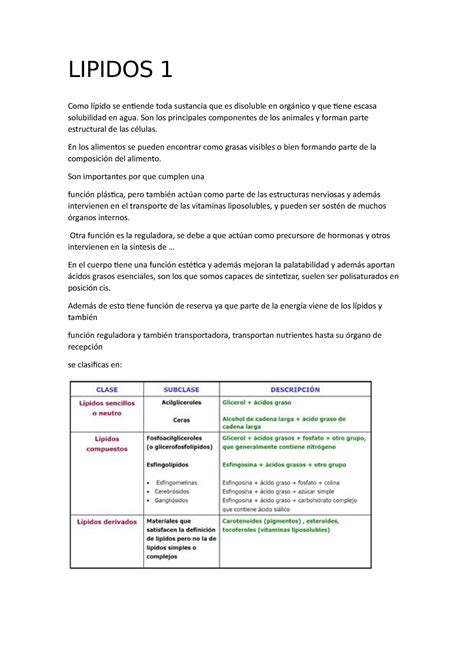 Lípidos 1 Lipidos 1 Como Lípido Se Entiende Toda Sustancia Que Es