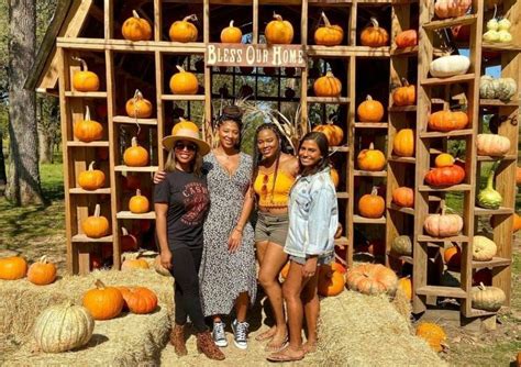 Houston Pumpkin Patches Artofit