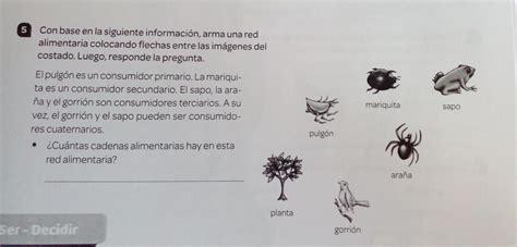 Ayudaaa Es Urgente DOY PUNTOS Y CORONA Brainly Lat