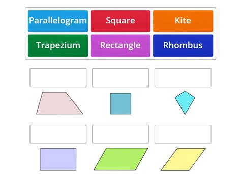 Type Of Quadrilateral Match Up