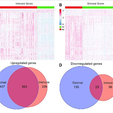 Identification Of Degs Based On Immune Stromal Scores Heatmap Of