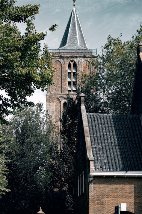 가을 건물 건축 건축 세부 사항 경치 경치가 좋은 고딕 양식의 건축물 교회 교회 탑 구시가지 기독교 기독교의 나무 네덜란드 네덜란드 건축 녹지