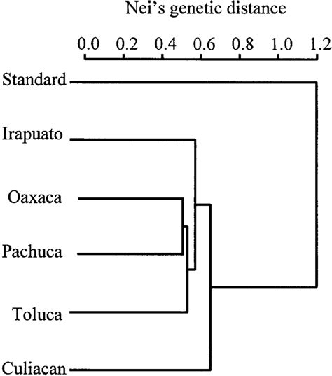 Upgma Cluster Dendrogram Obtained From Neis Genetic Distance Matrix
