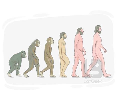 Evolution Definition Meaning Pronunciation Origin